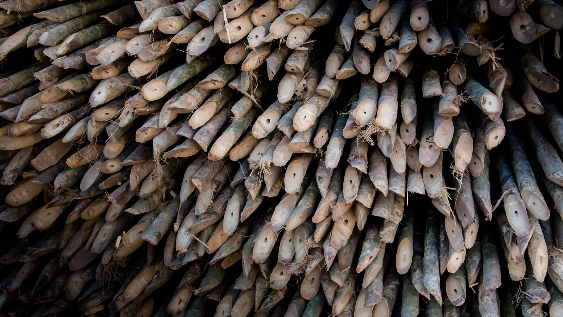 Under Attack - His Place Community Church