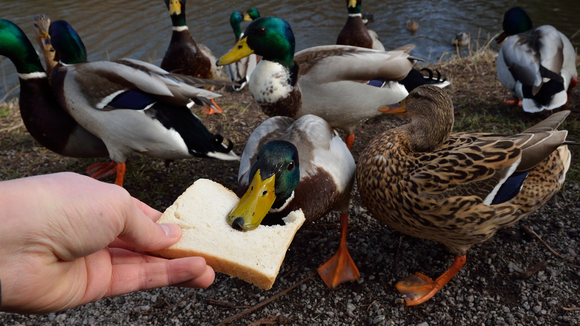 Sermons - His Place Community Church