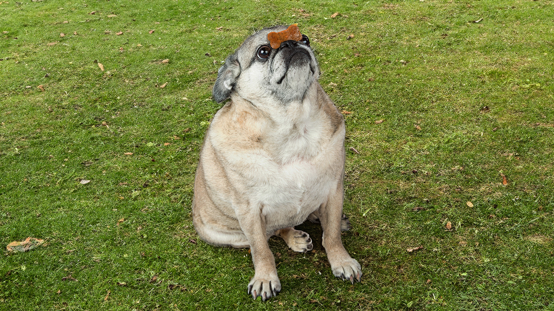 This Week’s Service – His Place Community Church